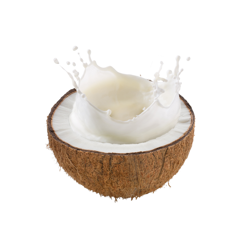 Is Coconut milk Lectin-Free? YES