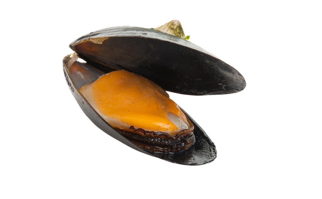Is Mussel Lectin-Free? YES