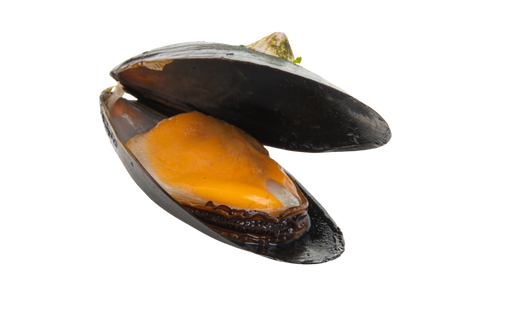 Is Mussel Lectin-Free? YES