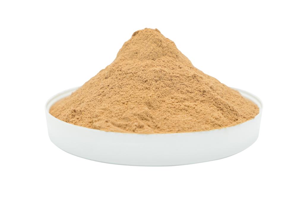 Is Whey protein powder Lectin-Free? YES